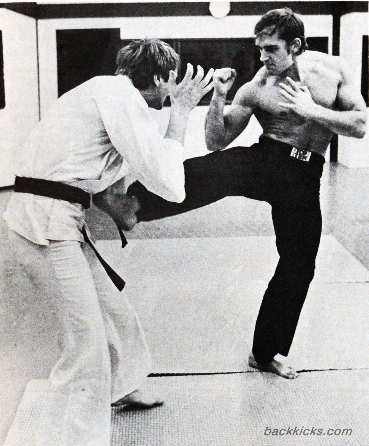 Wolfgang Wedde – The Norwegian Legend – Martial Arts Encyclopedia