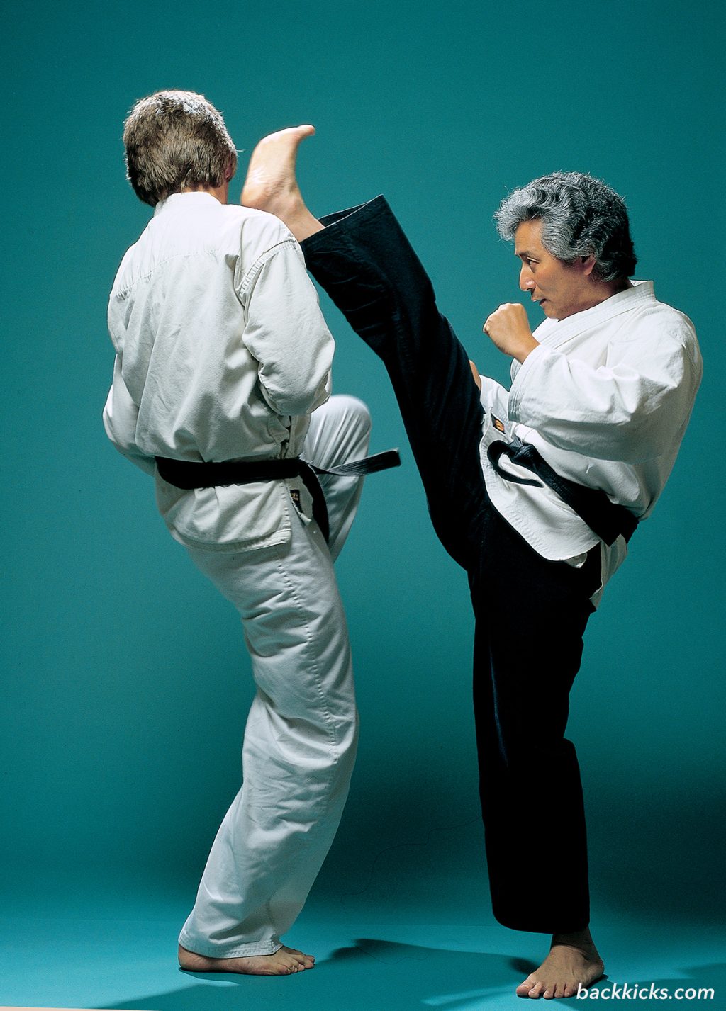 Tom Laughlin Martial Arts