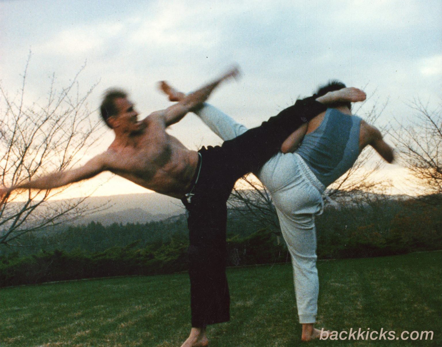 Cynthia Rothrock: Eyes of the Dragon – Martial Arts Encyclopedia