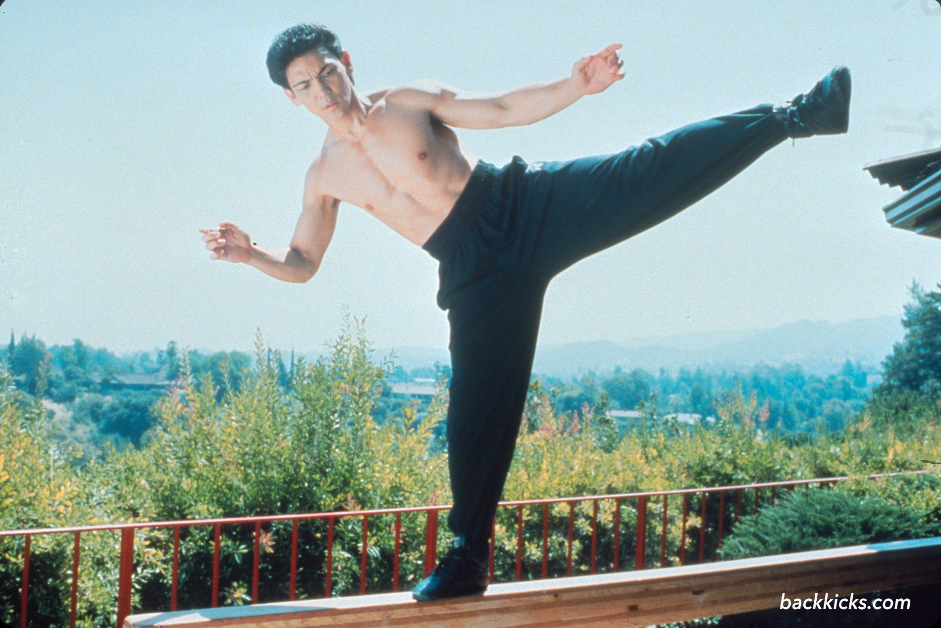 Action Movies – Martial Arts Encyclopedia